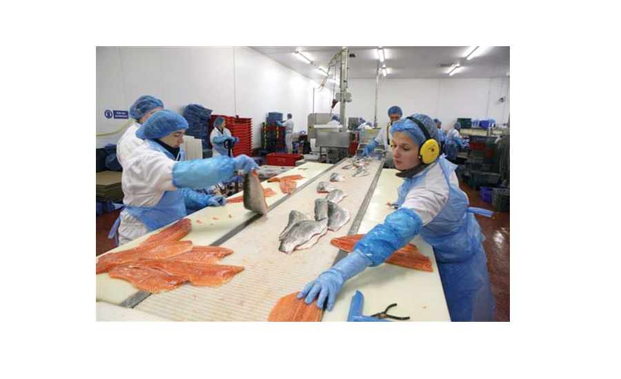 Dawnfresh Seafoods automate for M&S code of practice compliance | 2017 ...