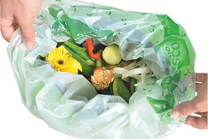 PEs vs Biodegradable Polymers – Processing Challenges and Constraints ...